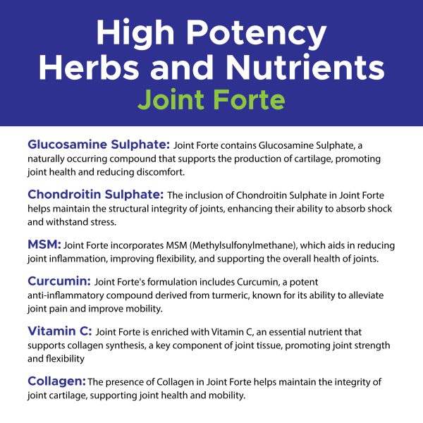 Joint Forte 90 Tablets - Family Care Nutrition